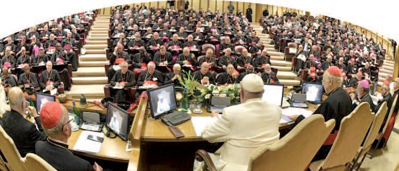 Major Recommendations in the Final Report of Amazon Synod - Light Of Truth