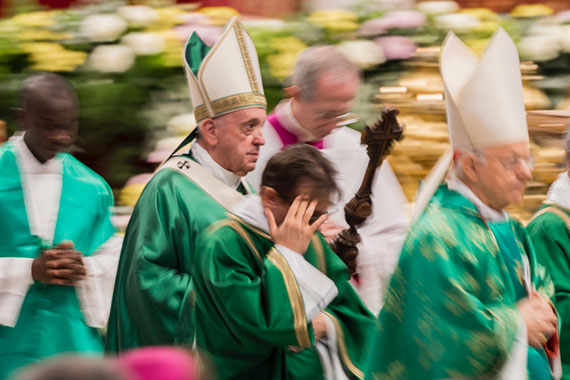 How Amazon synod laid groundwork for reforms - Light Of Truth