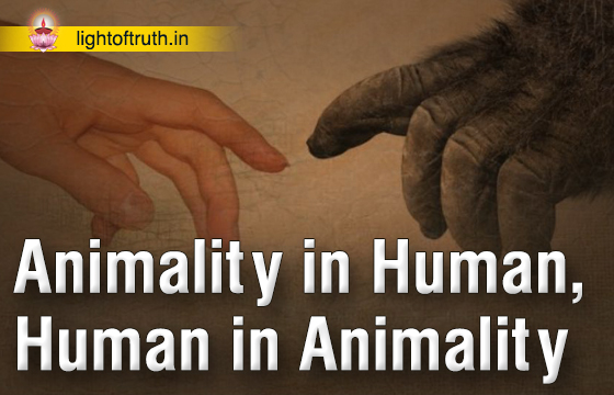 Animality in Human, Human in Animality - Light Of Truth